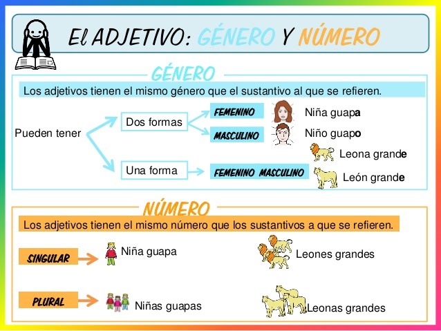 El Adjetivo.: GÉNERO Y NÚMERO DE LOS ADJETIVOS.
