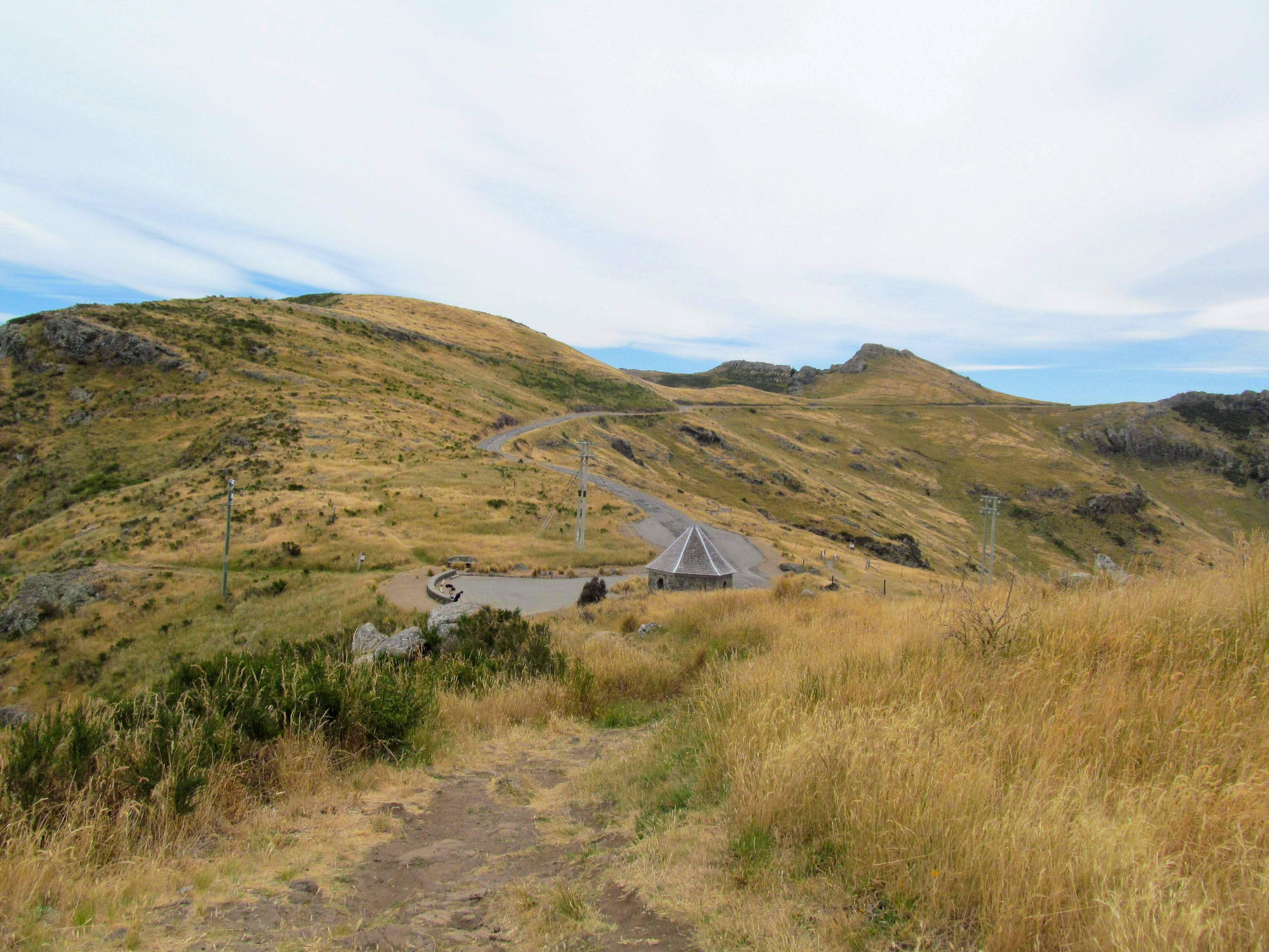 Tramping in the New Zealand backcountry: NZ Bush Adventures: Excellent ...