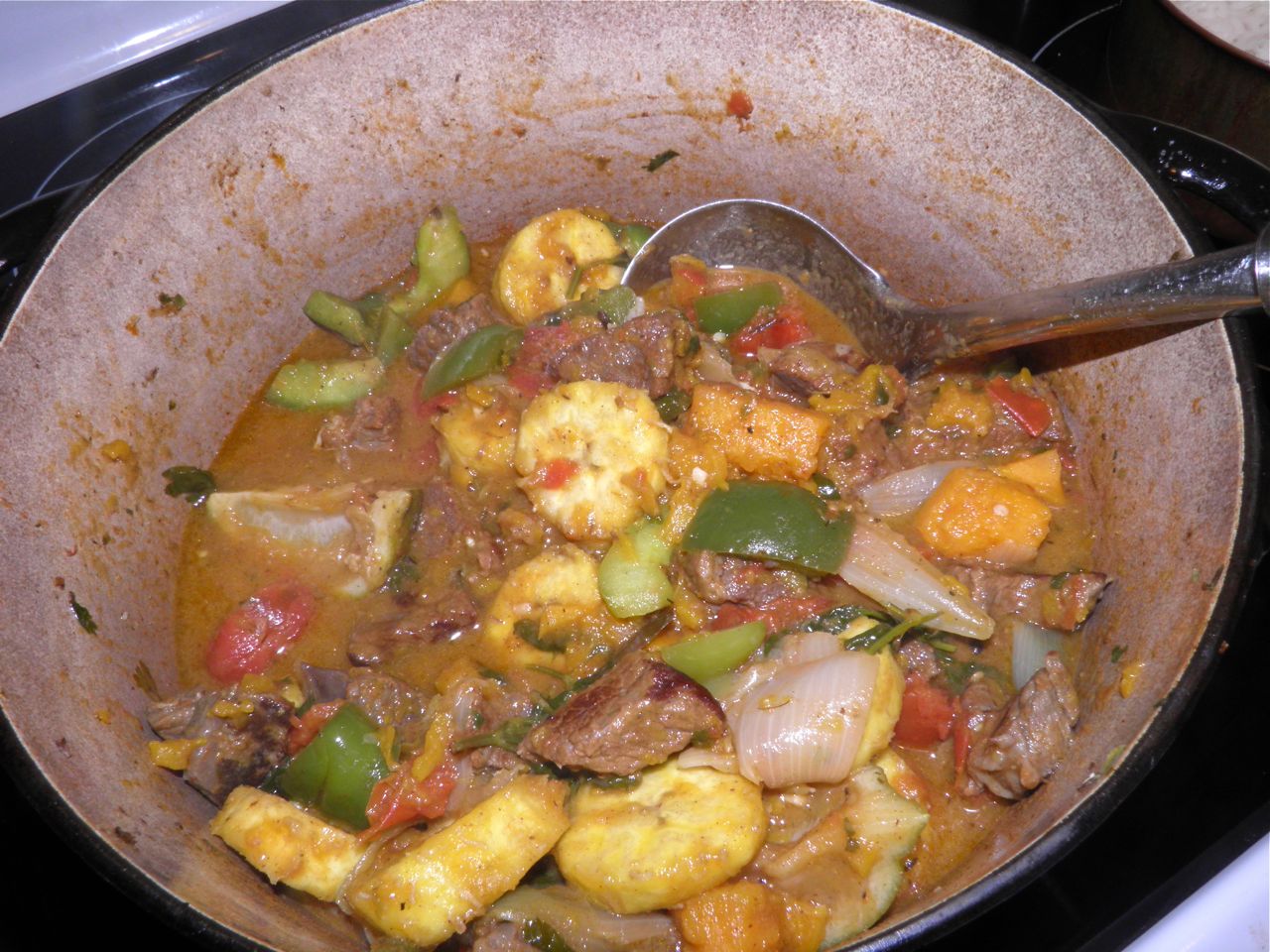 Docaitta Lifestyle: Easy Caribbean Beef Stew
