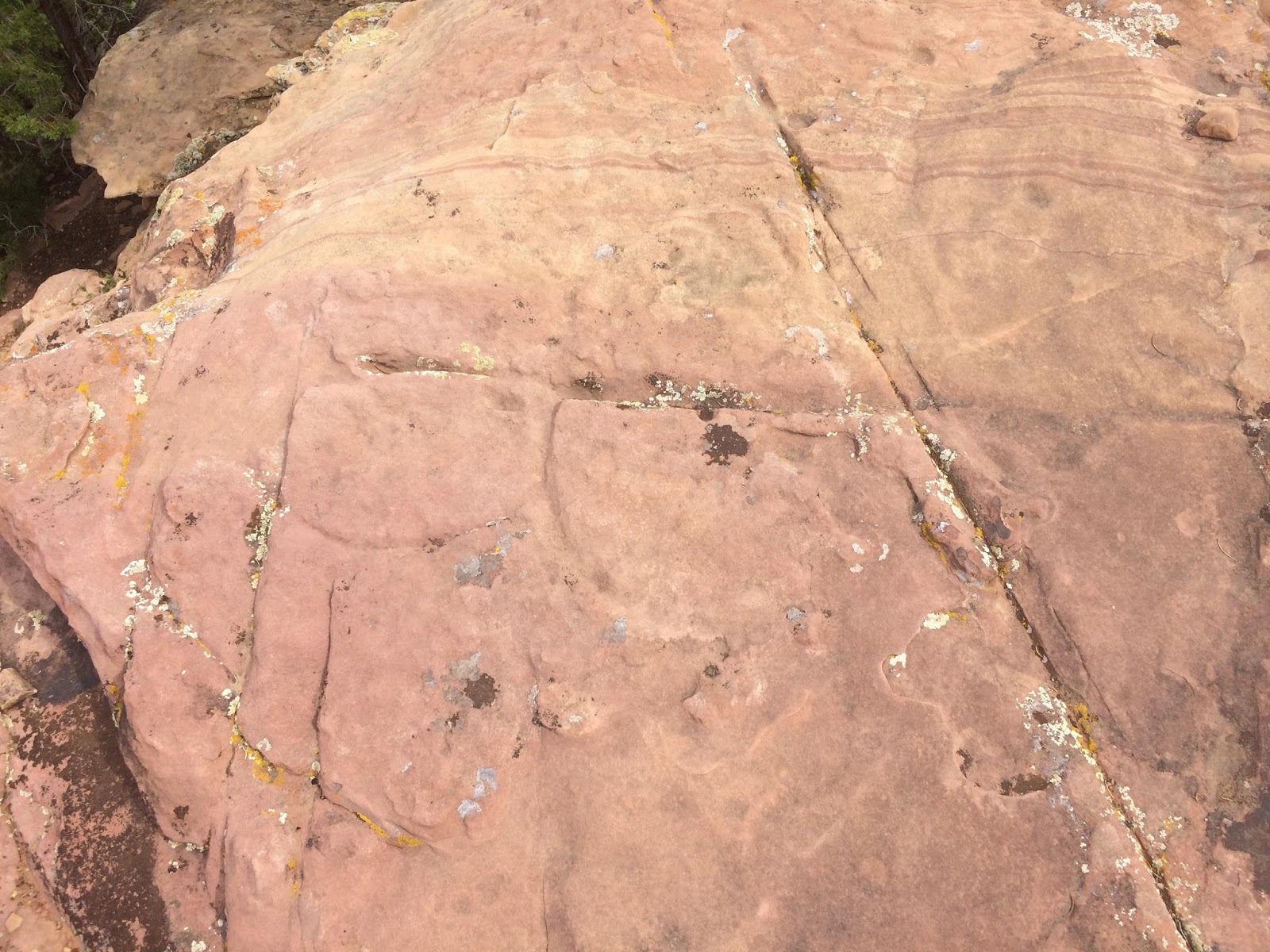 Oddities Curios and Other repressed Emotions: Water Glyphs