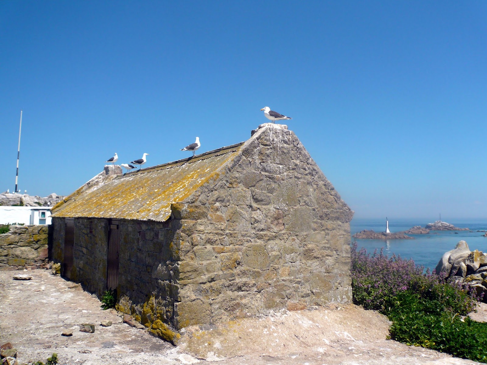 VOILE et REGATE, Karibario & ses amis, A 40, Sun Odyssée 40, Chausey ...
