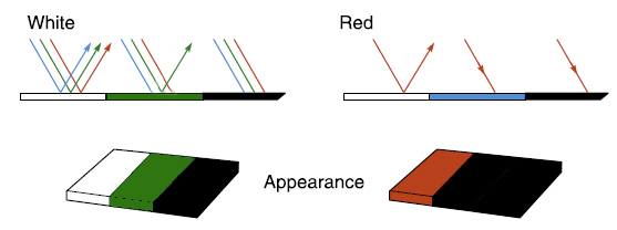 School Of Digital Photography: What Happens When Light Falls On a Surface