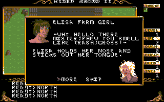 Indie Retro News: Hired Sword 2 - A racy C64 CRPG will be coming to the ...