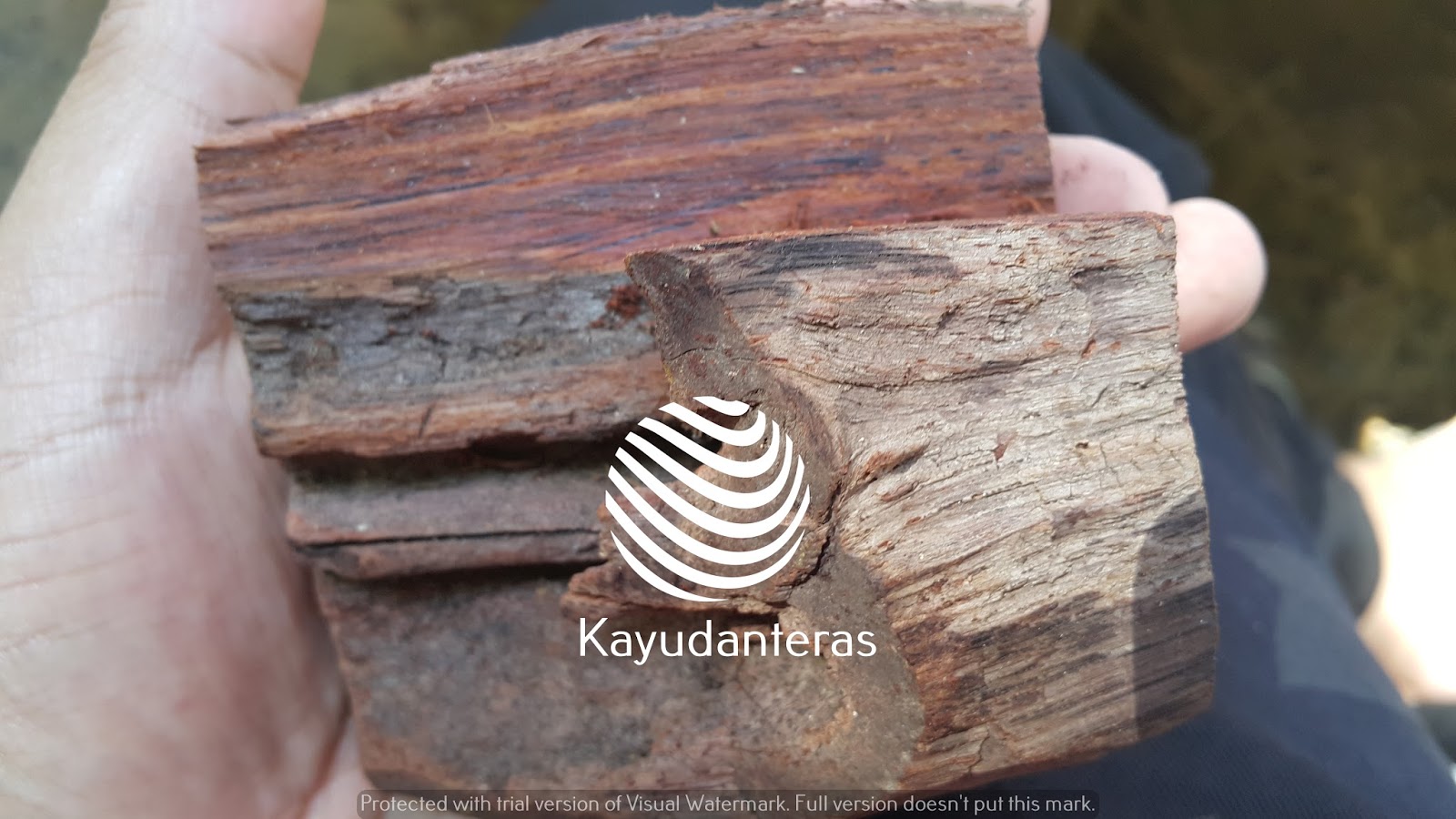 Koleksi Teras Kayu dan Batu: :: Teras Laka