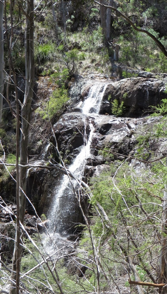 Dzung Nguyen's Blog: Mt Cobbler Walk