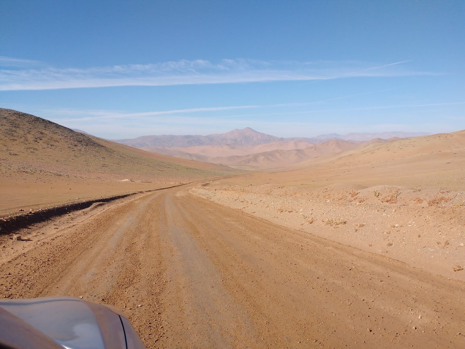 Curioseandando: 2019