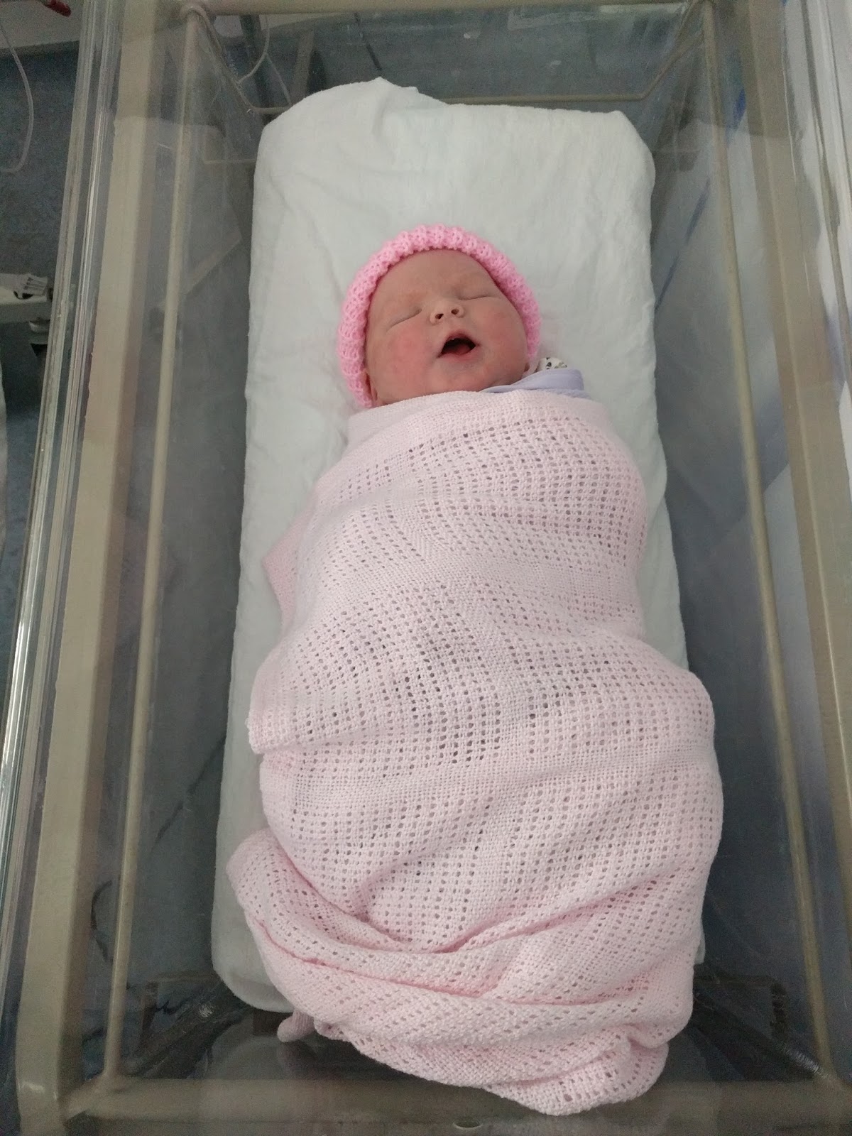 Entertaining Elliot: Pregnancy Update ~ Introducing Baby Erin :)