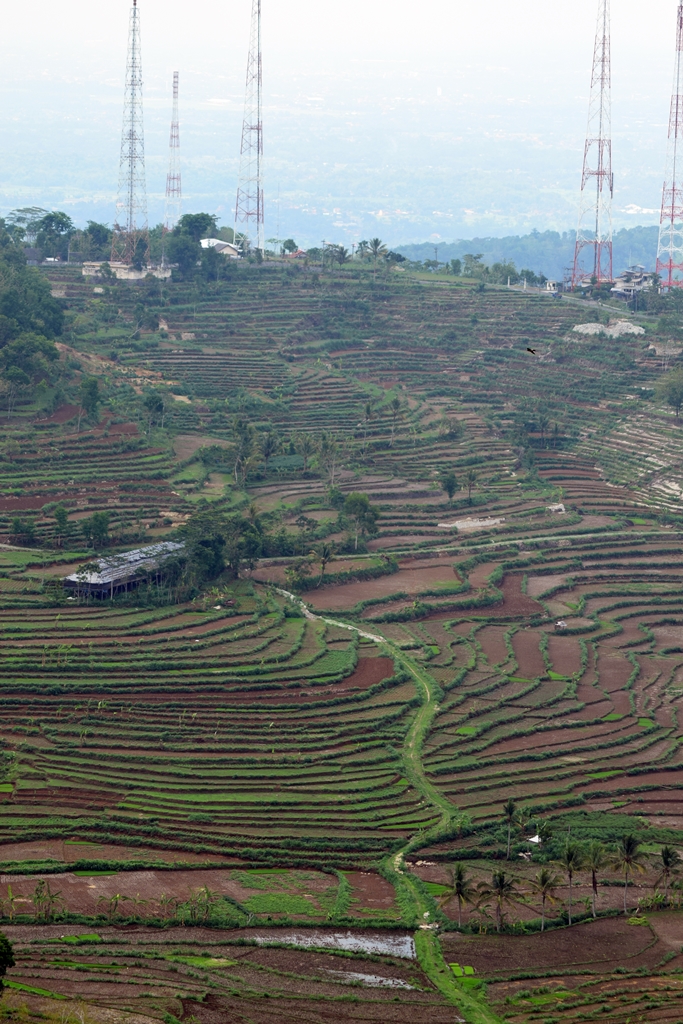 Gunung Api Purba, Bebatuan Mempesona Dari Ketinggian Yogyakarta