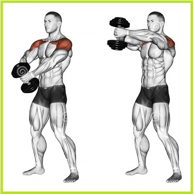 Shoulder Exercises For Men | Basic Exercises For Broader Shoulder ...