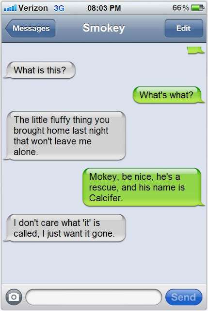 Texts From My Cat: Smokey Gets a New Roommate.