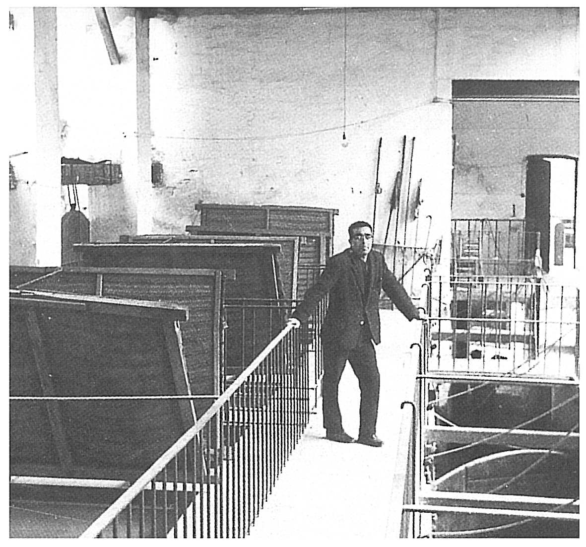 LA CÓRDOBA TAURINA Y DIVERSA