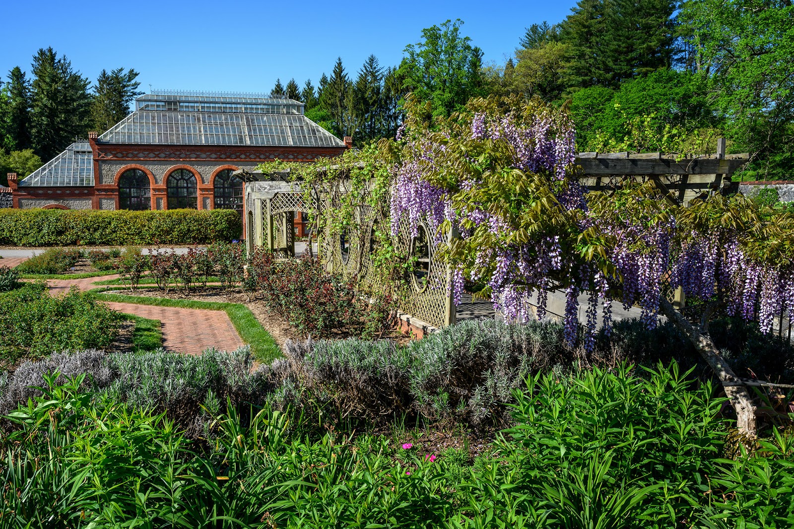 Bubba's Garage: Photos from Biltmore Blooms