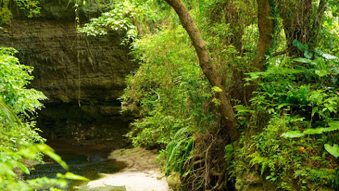 Isshin - Concentration the Art: Okinawa as I would like to experience it