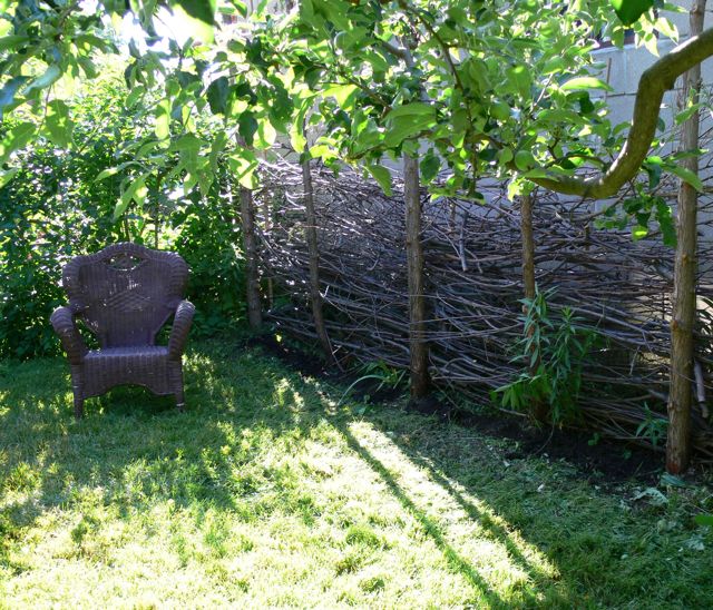 Misha and Mia: Build a twig fence