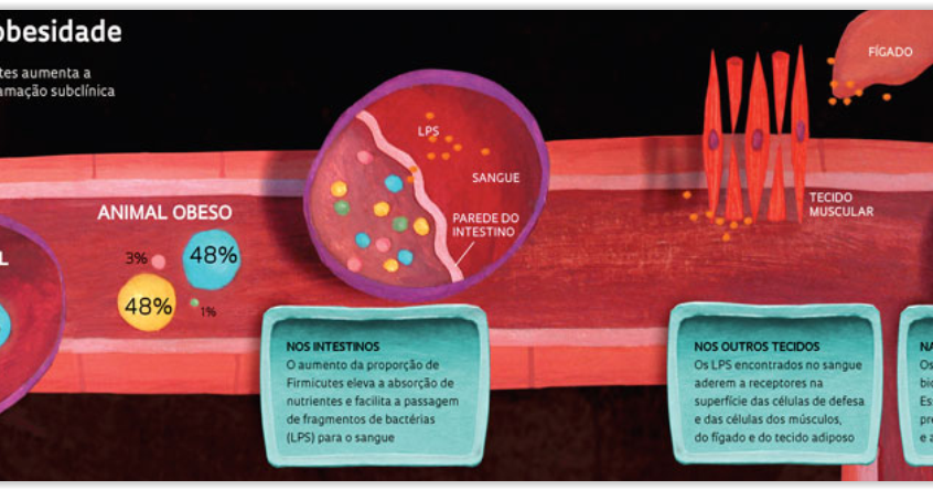 Ciências&Viver: Os benefícios do BUTIRATO e seus derivados