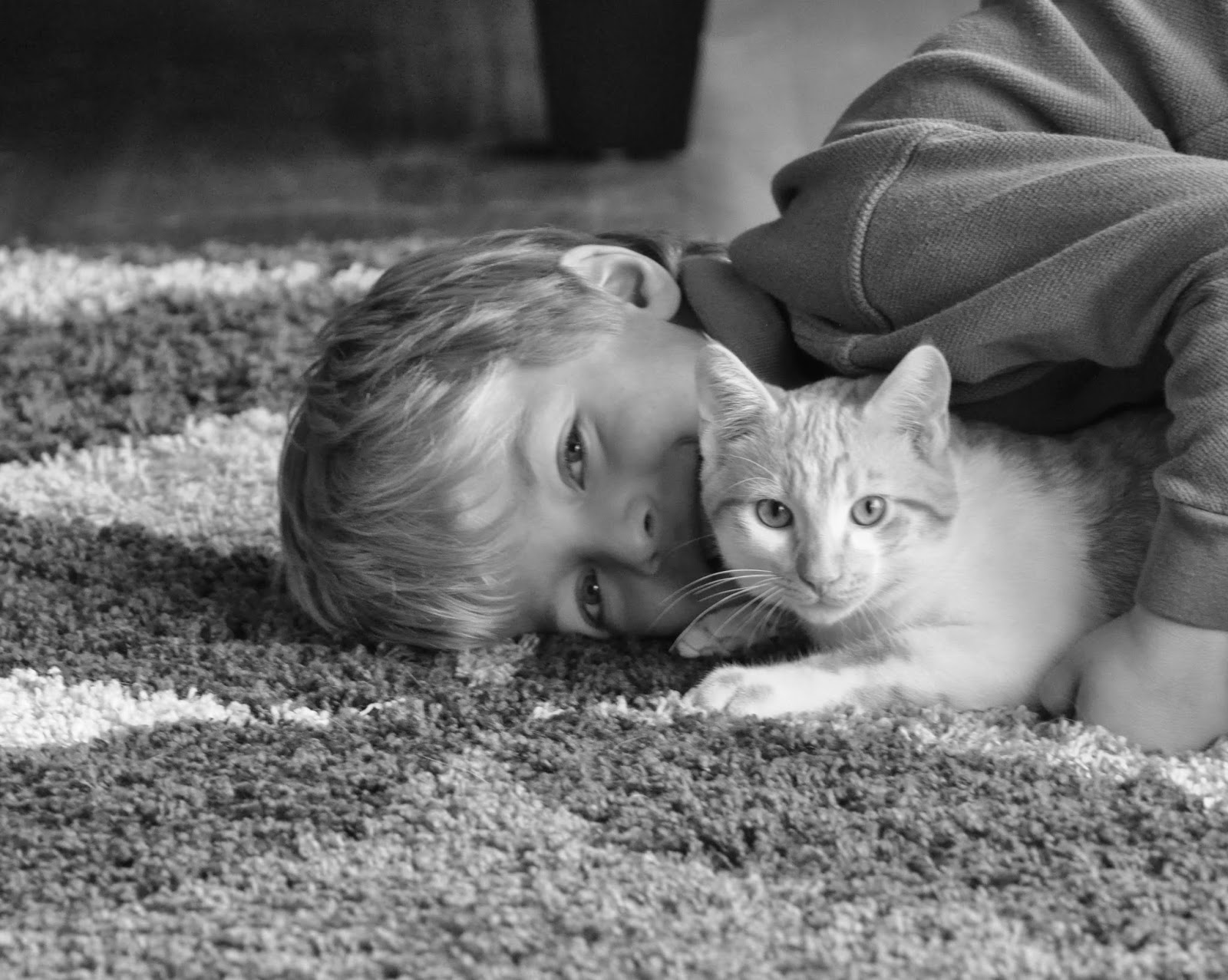 Through My Canadian Eyes: HONORABLE CAT