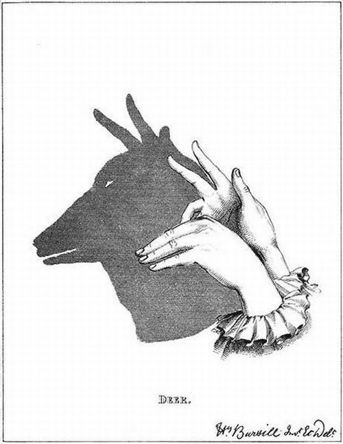 Creative Things In The World: Amazing Shadow Art....... TRICKS