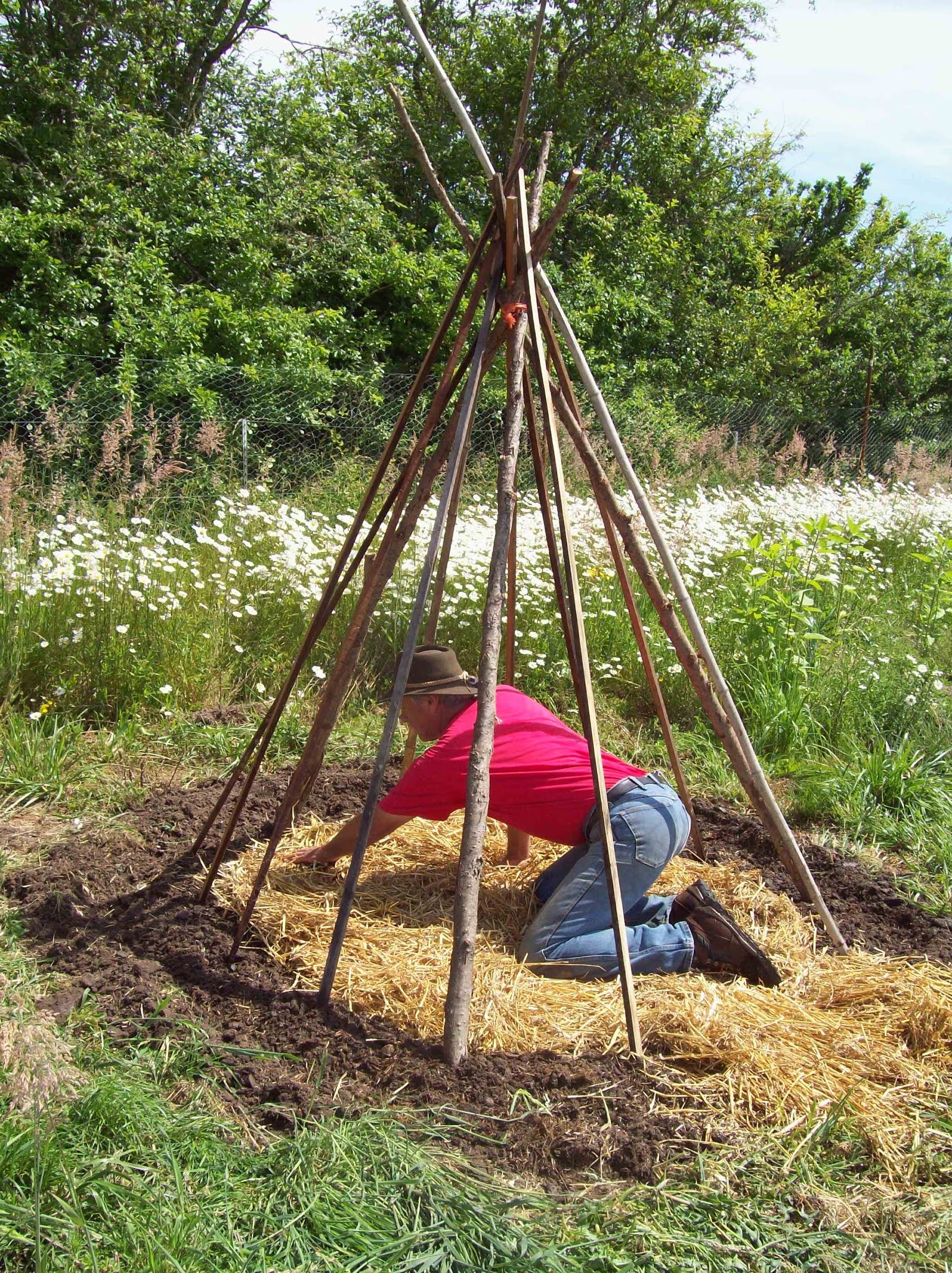 The Sharing Gardens : How to build a Bean Tipi/Teepee