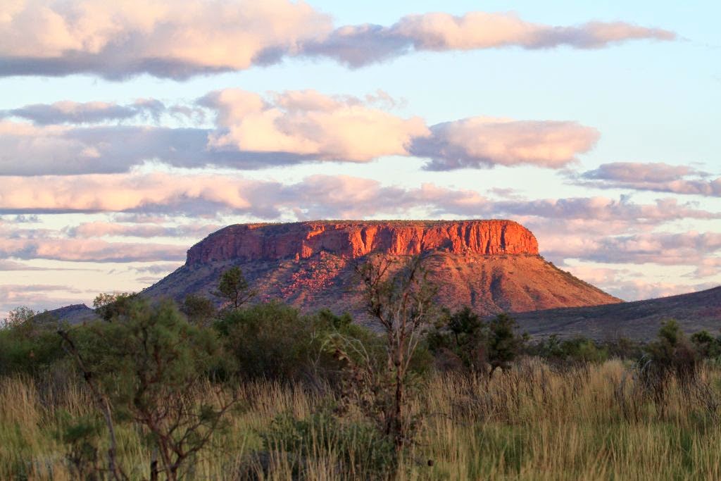 Richard Waring's Birds of Australia: Bird and scenery photos from ...