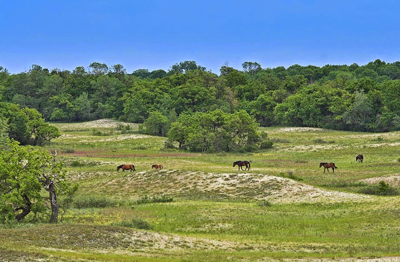 Pasiunea Pescuitului: Padurea Letea - Delta Dunarii