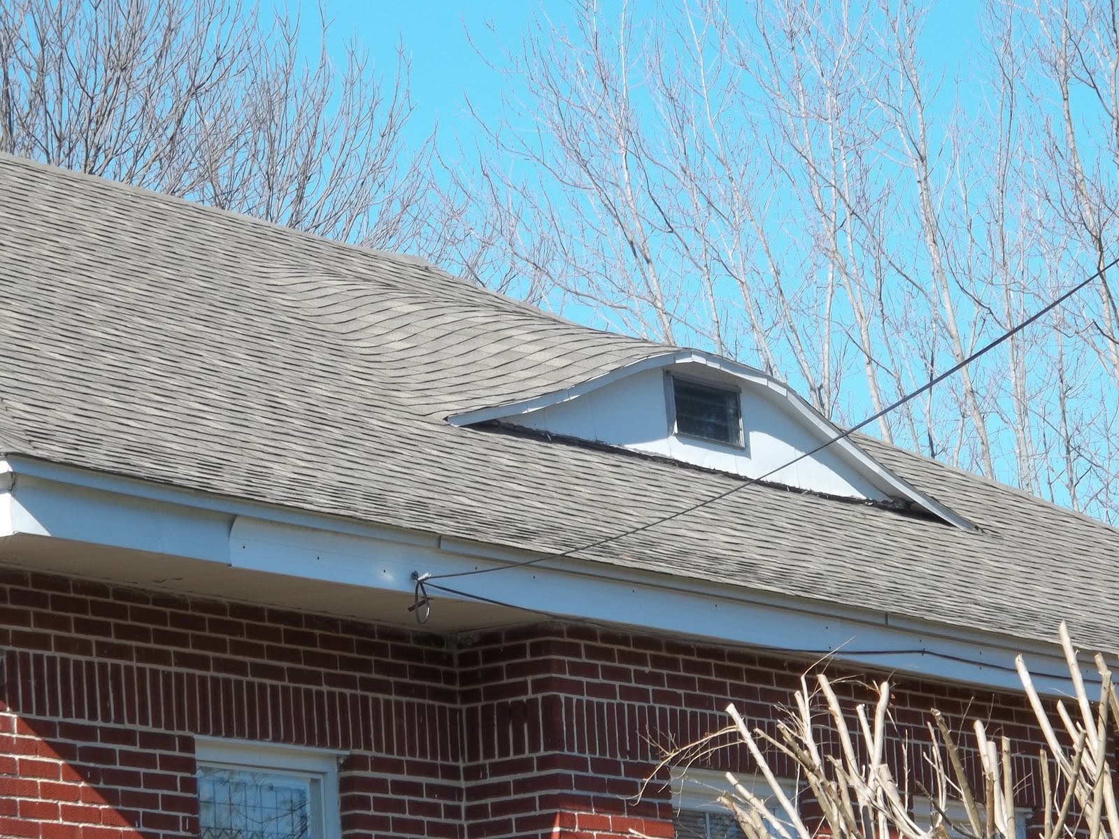 Delmar Historical And Art Society: A Delmar Eyebrow Window