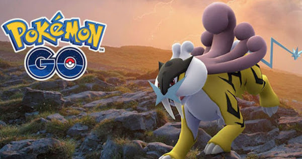 Raikou Infográficos + IV Chart | POKEMON GO BAURU