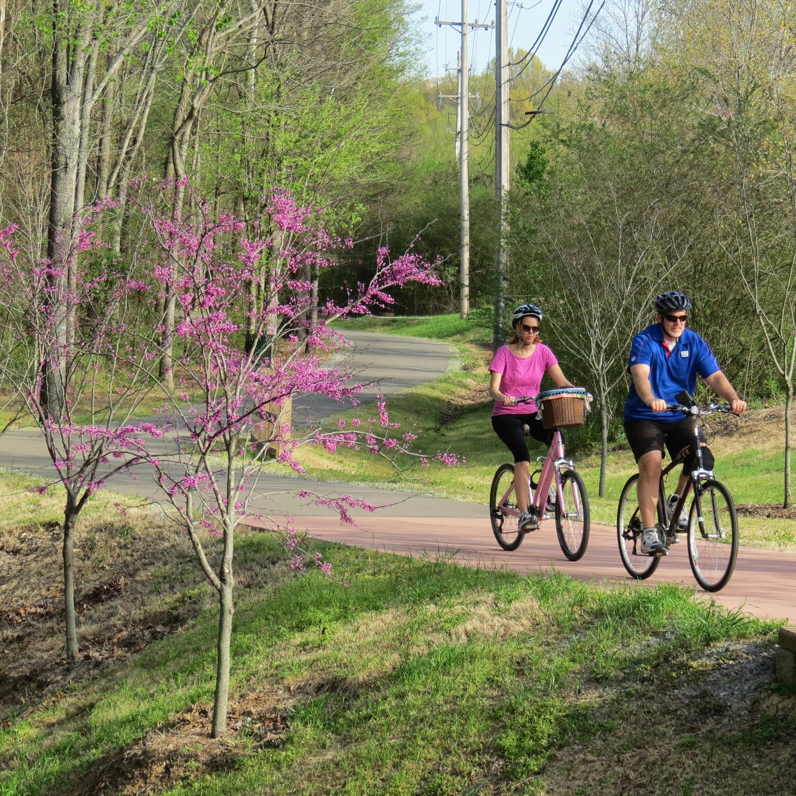 Memphis Cyclist: Spring is the best time for bike riding in Memphis