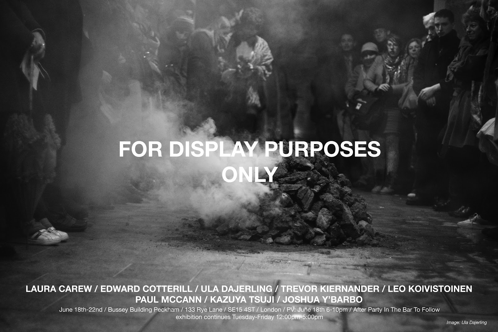 Chelsea Salon: For Display Purposes Only*