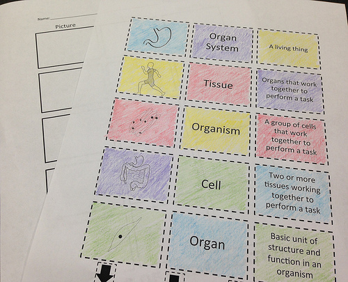 A School Called Home: Learning the Levels