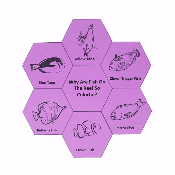 Coral Reef Close Reading Science Unit - Teaching Science with Lynda R ...