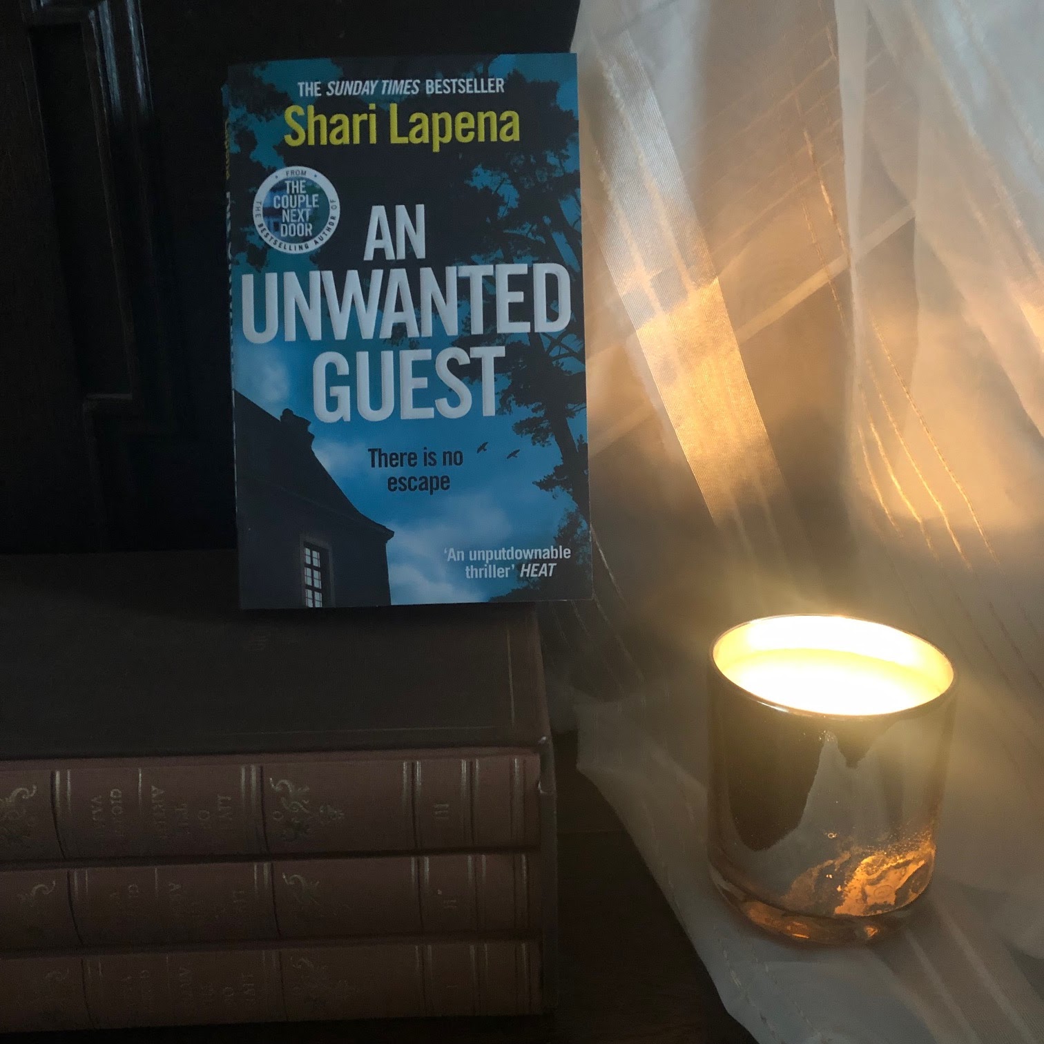 Chez Maximka: An Unwanted Guest by Shari Lapena