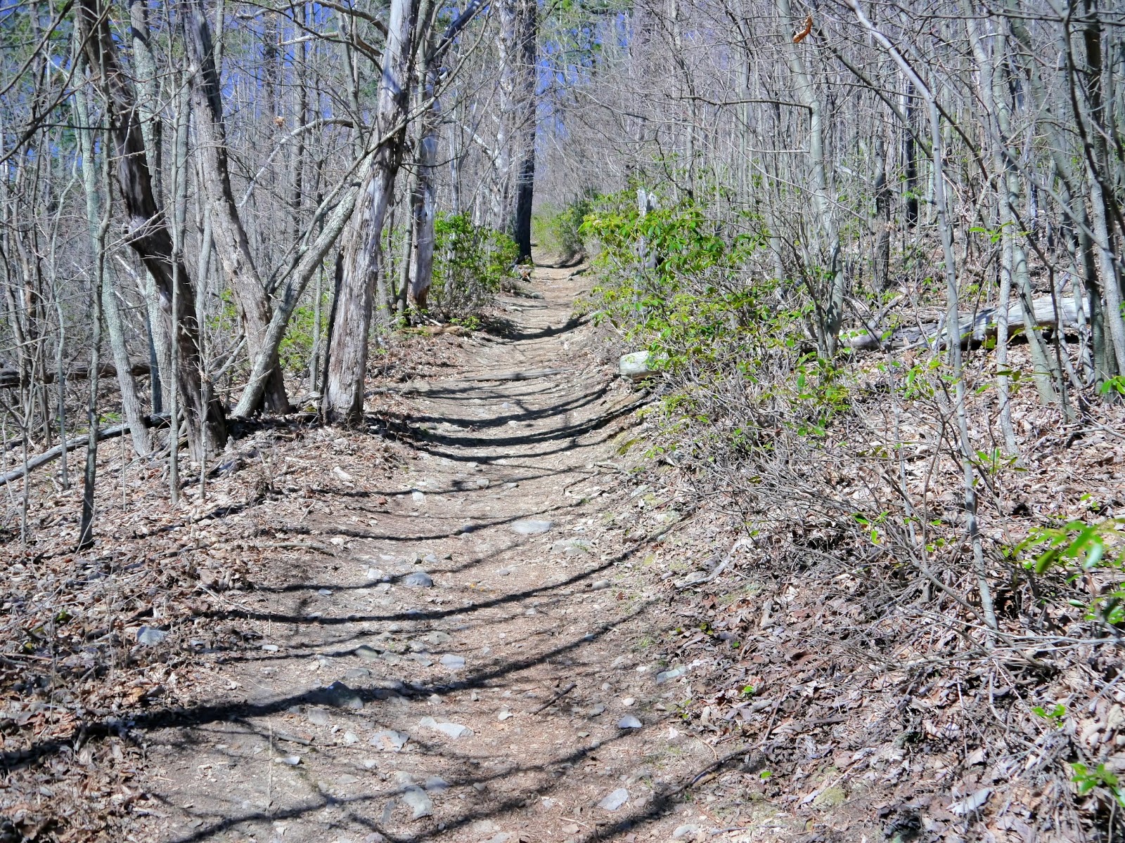 American Travel Journal: Riprap Trailhead to Blackrock Gap ...