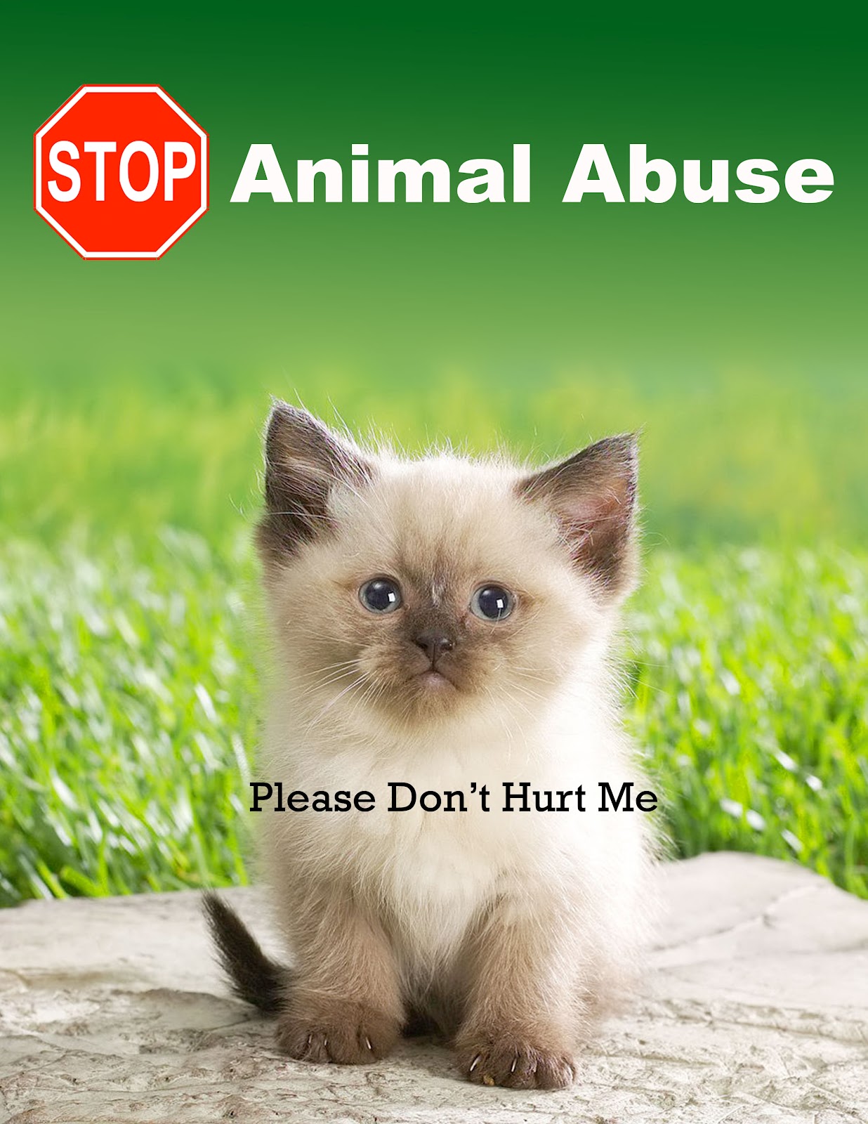 Animal Abuse Posters Ideas