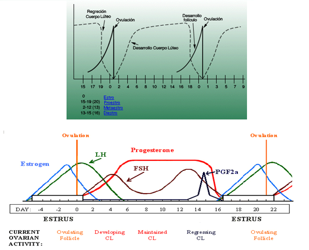 Bioquímica Diagnóstica BQD-YAI: 2019-11-17