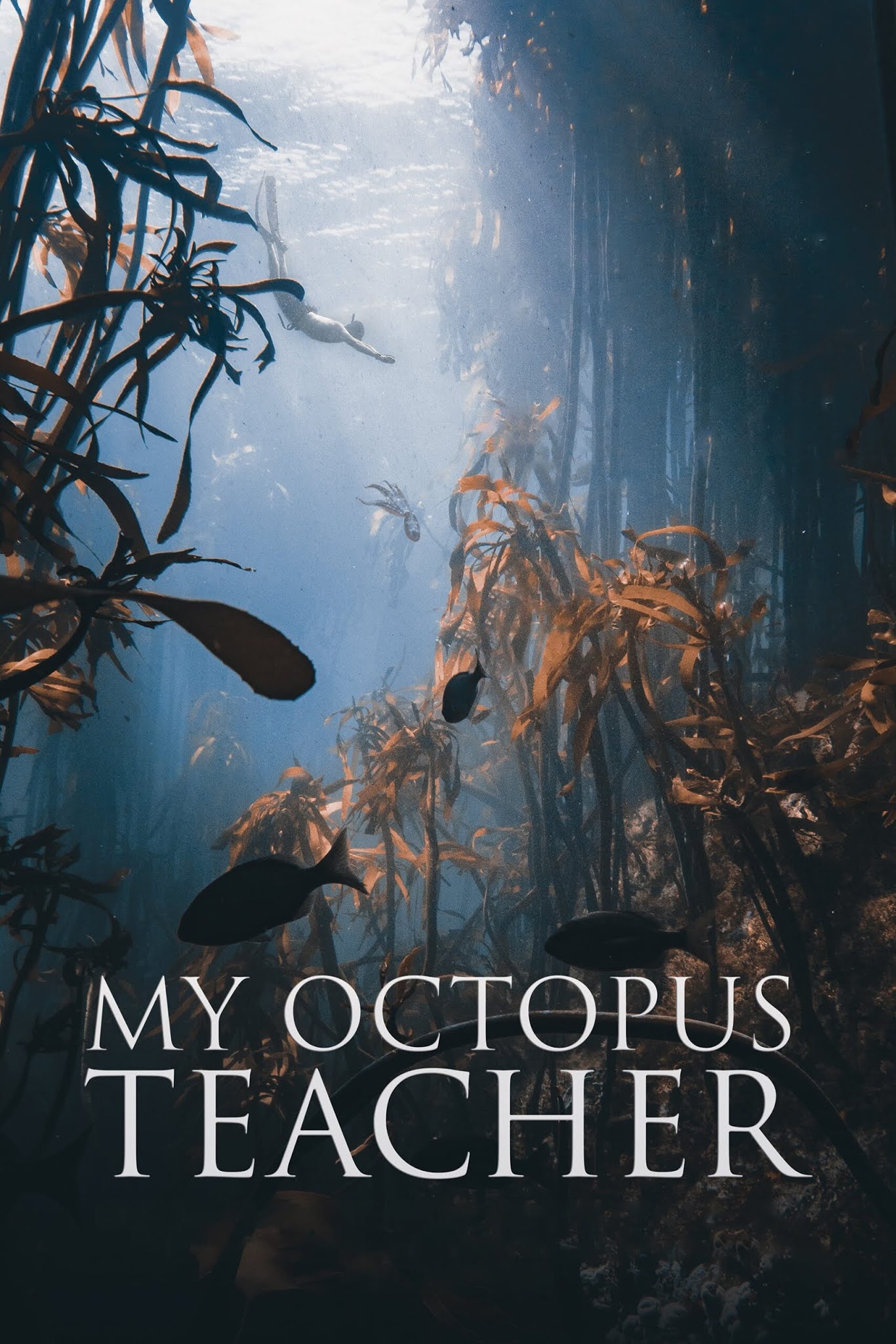 Review Film - My Octopus Teacher (2020) - MOVIECSTASY