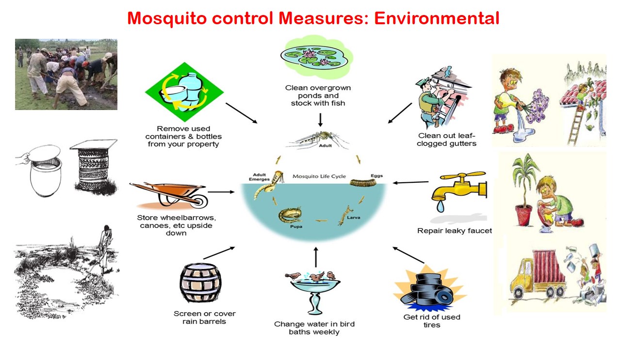 Spotters In Environment And Health Mosquito Control Measures For CFM spotters-in-environment-and-health-mosquito-control-measures-for-cfm