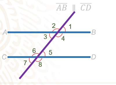 1°A Matemáticas, 24 - 28 de Mayo