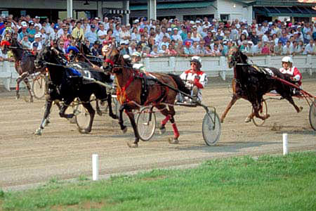 TwinSpires Blog: March 2011