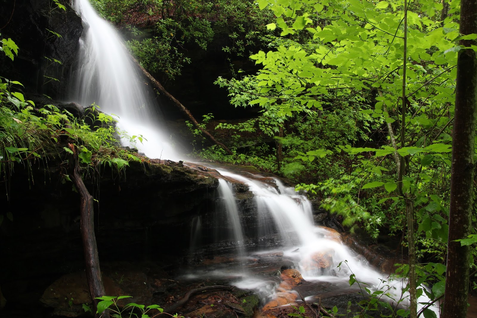 The Adventures of Bushwhack Jack: 2020-05-21 The Waterfalls of Hamlin ...