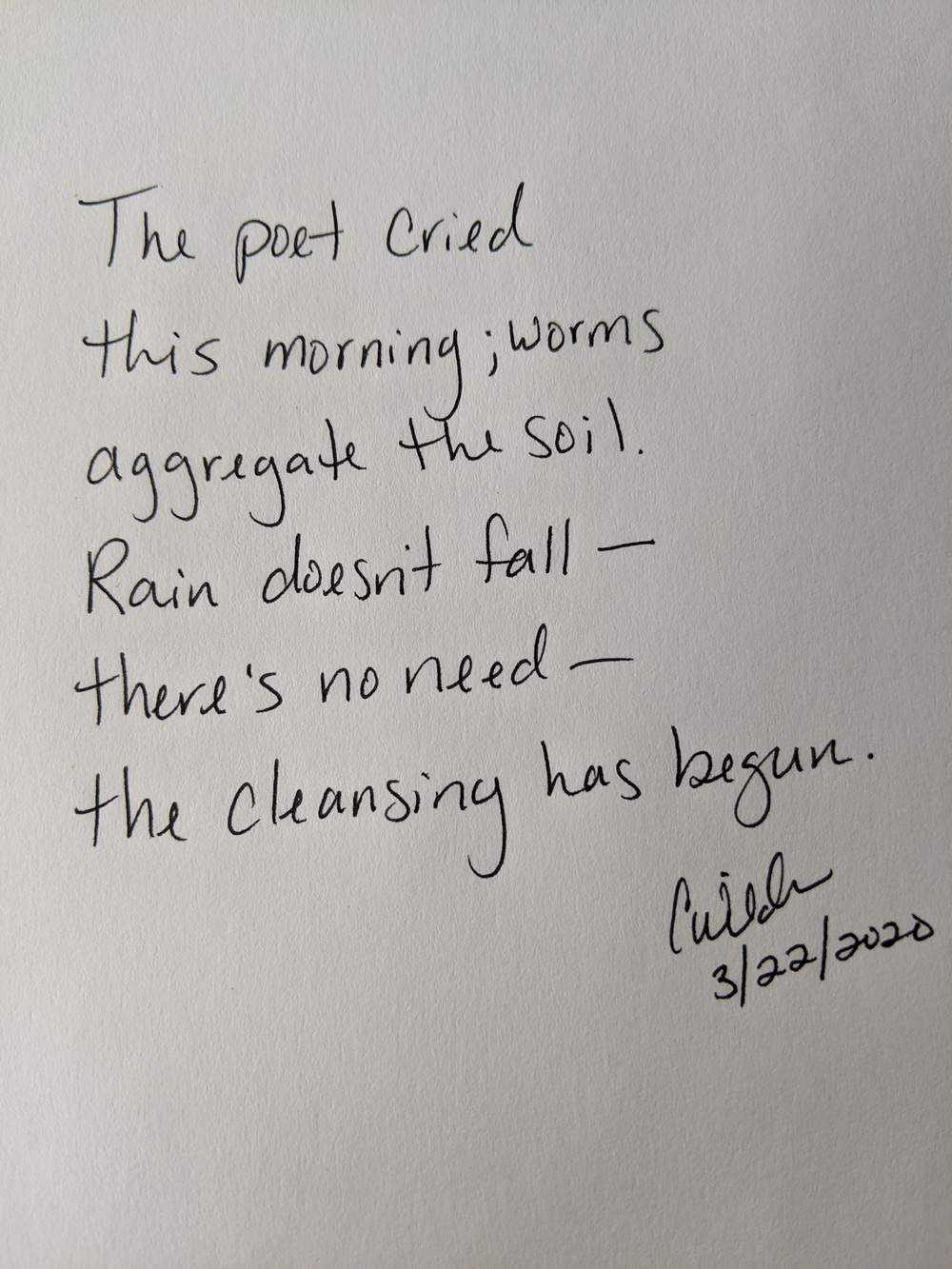 Raw Data: Living in the Fallout from the Coronavirus: Daily Poems from ...