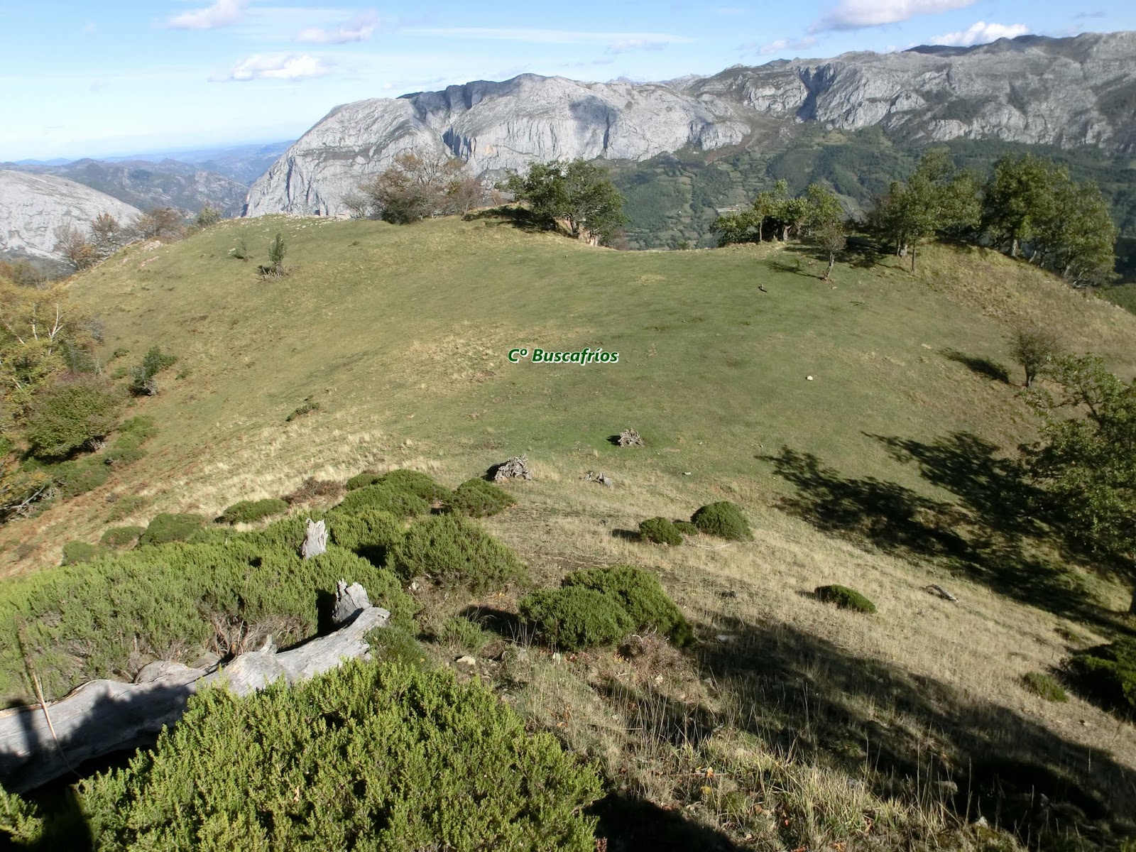 Pindio, pindio: noviembre 2012