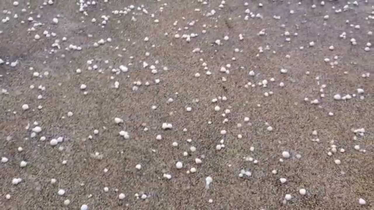 In English, pleaseee...: Snow grains?