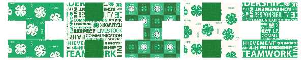 .Quiltscapes.: 4-H "Fair Days" Quilt