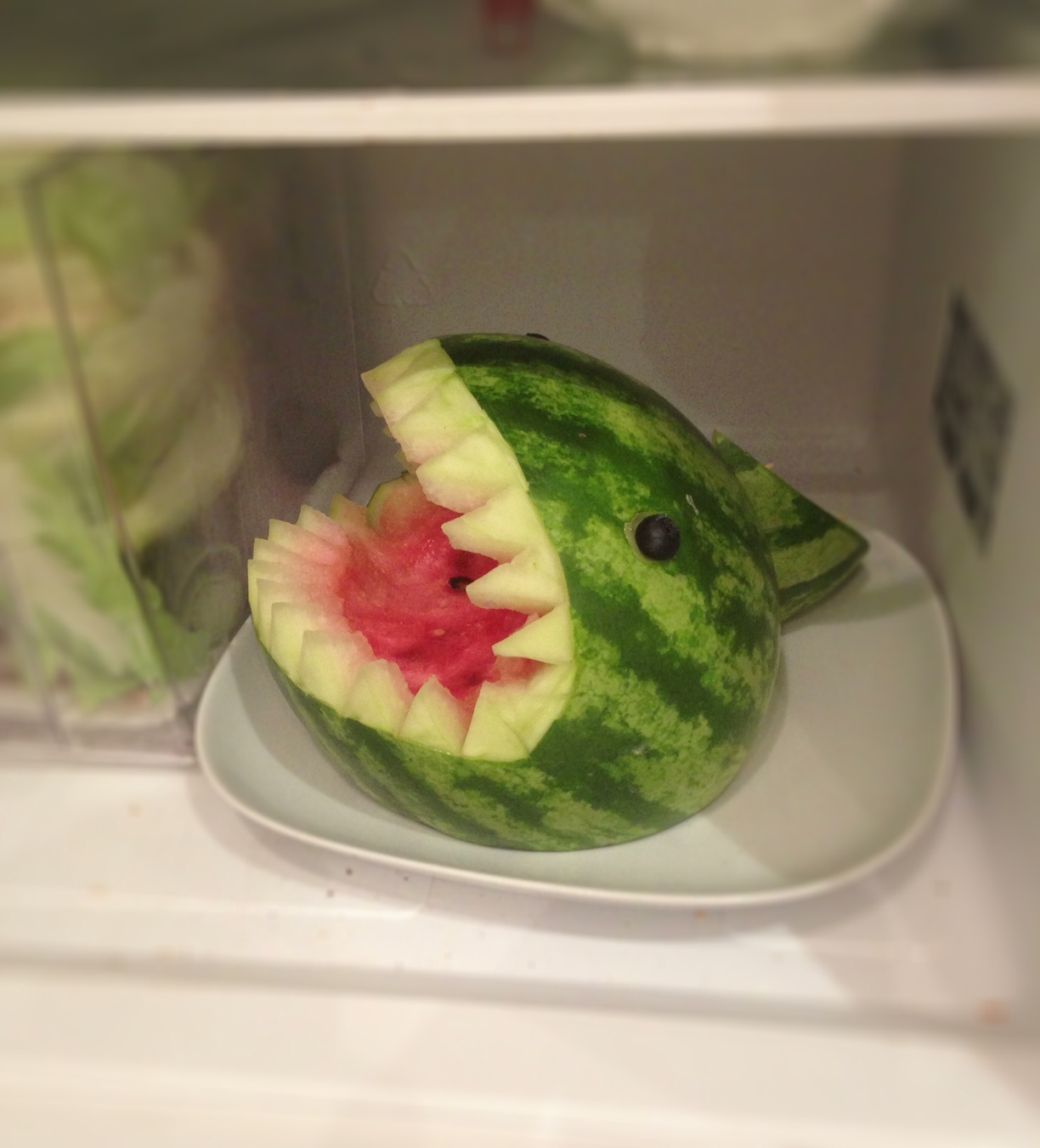 Octonauts! To your stations! |This is Wiss