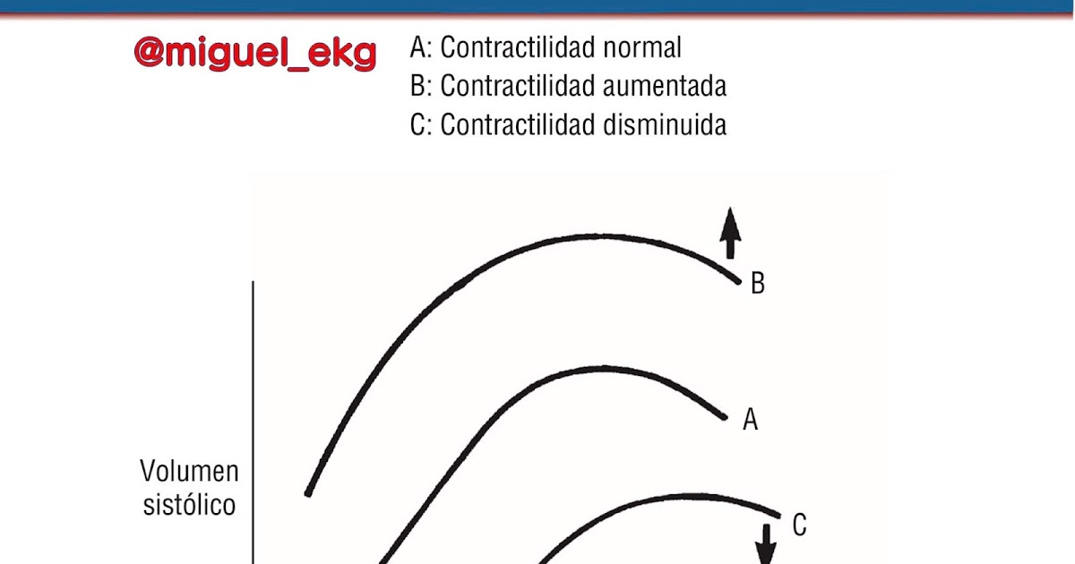 CONTRACTILIDAD