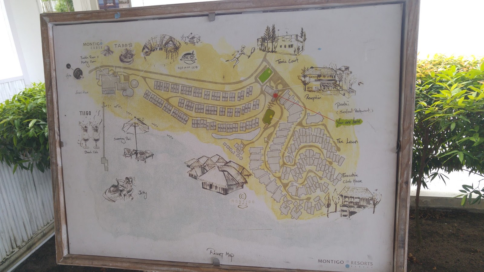 CompoundingDividendxDividend: May 2016