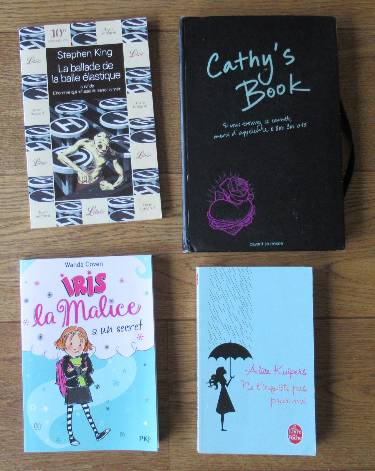 MARGRIET: Franse boeken en Franse minibiebs/boekhandel