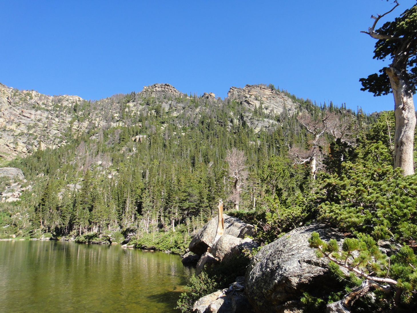 Hiking Rocky Mountain National Park: Castle Rock, Gable Gate, Primrose ...