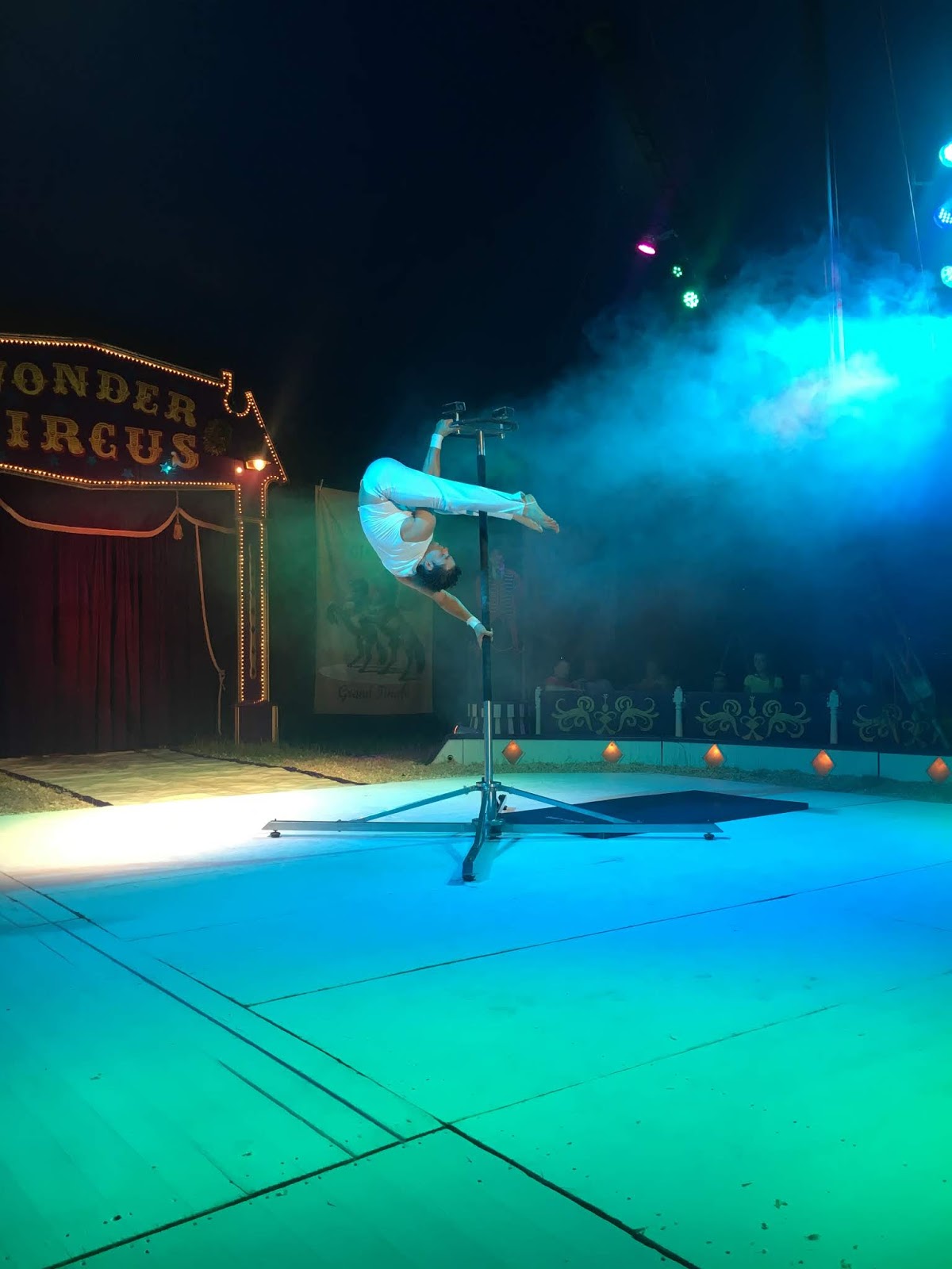 The Wonder Circus (Review)