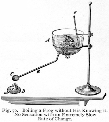 The Boiling Frog Syndrome - Mutual Reflection